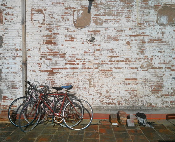 BRICKS - Rolled Wall